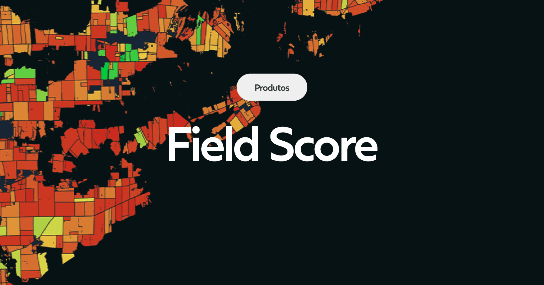 Field Score